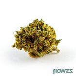 Aphria forte 9 Jean Guy zum besten Preis